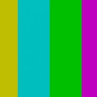 LANIE LEE COOK – MEDIA